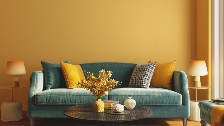 Our Locations – Cove & Co.